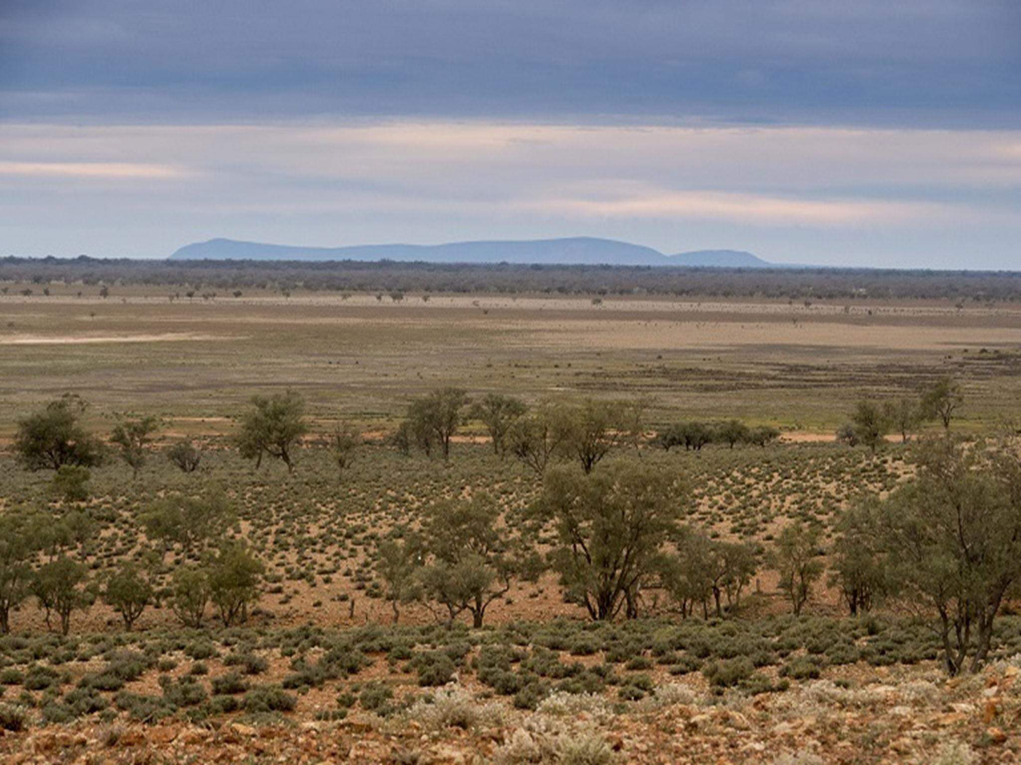 MOUNT TALOWLA LOOKOUT | Back O' Bourke - Official Tourism Website