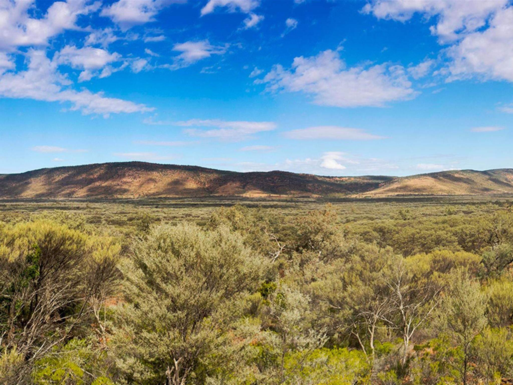LITTLE MOUNTAIN LOOKOUT | Back O' Bourke - Official Tourism Website