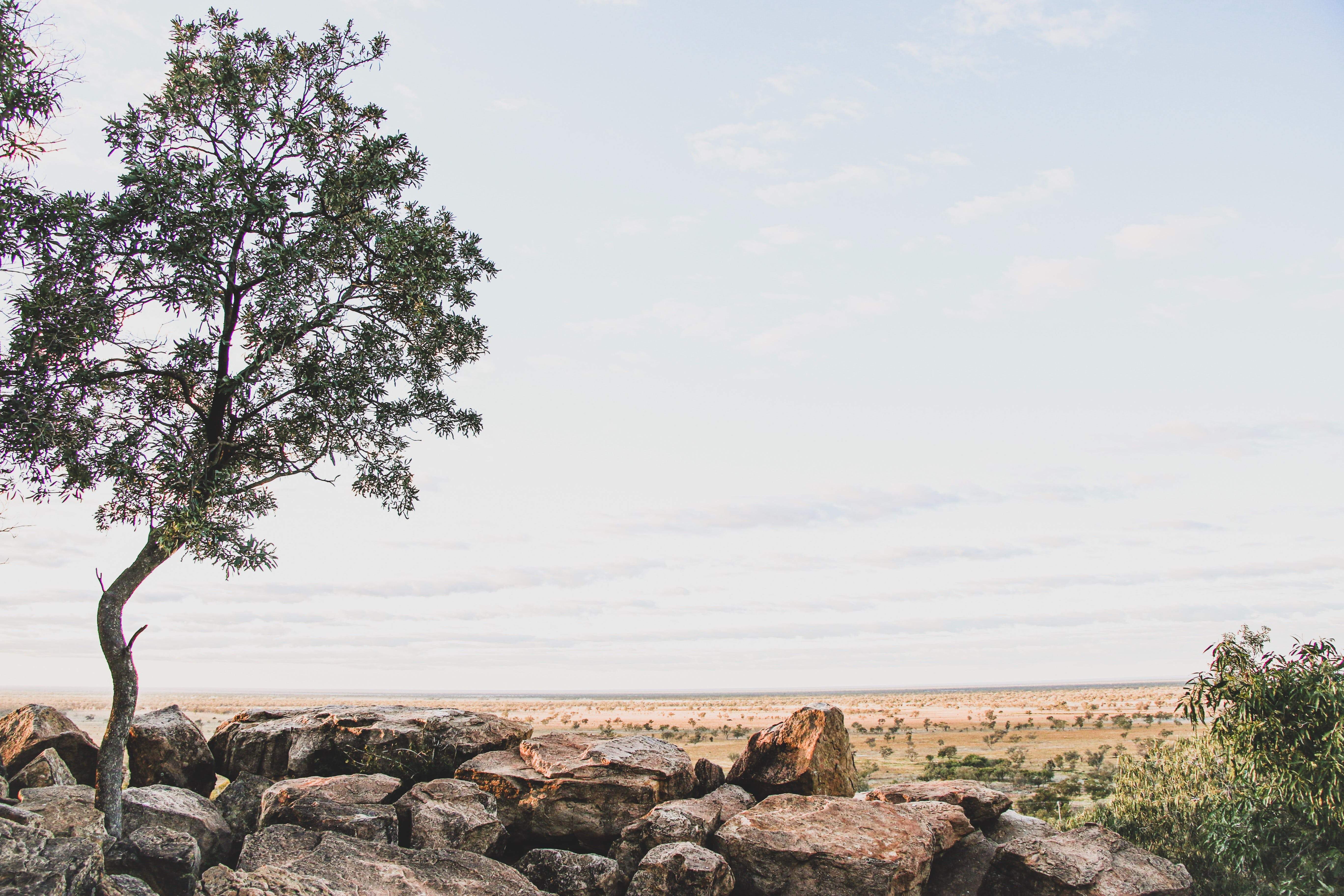 Mount Oxley Rossmore… | Back O' Bourke - Official Tourism Website