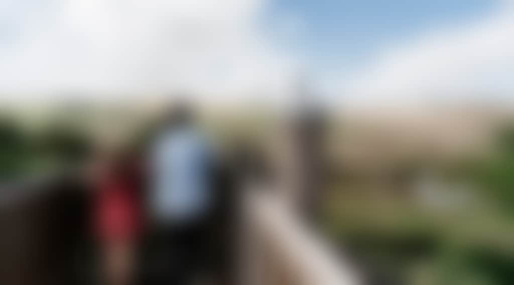 Barrabool Maze Estate | Visit Geelong and The Bellarine