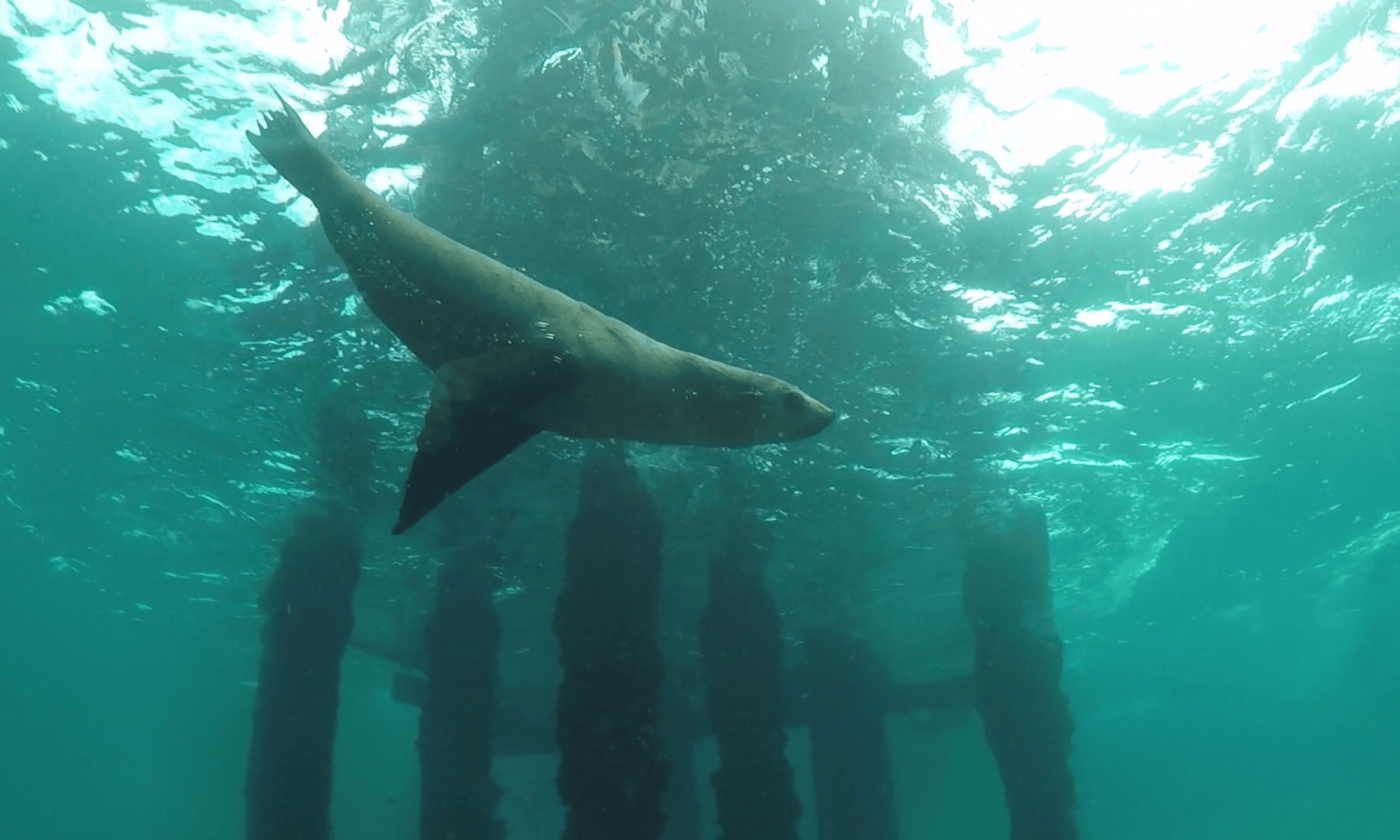 15 things to see & do in Geelong… | Visit Geelong and The Bellarine