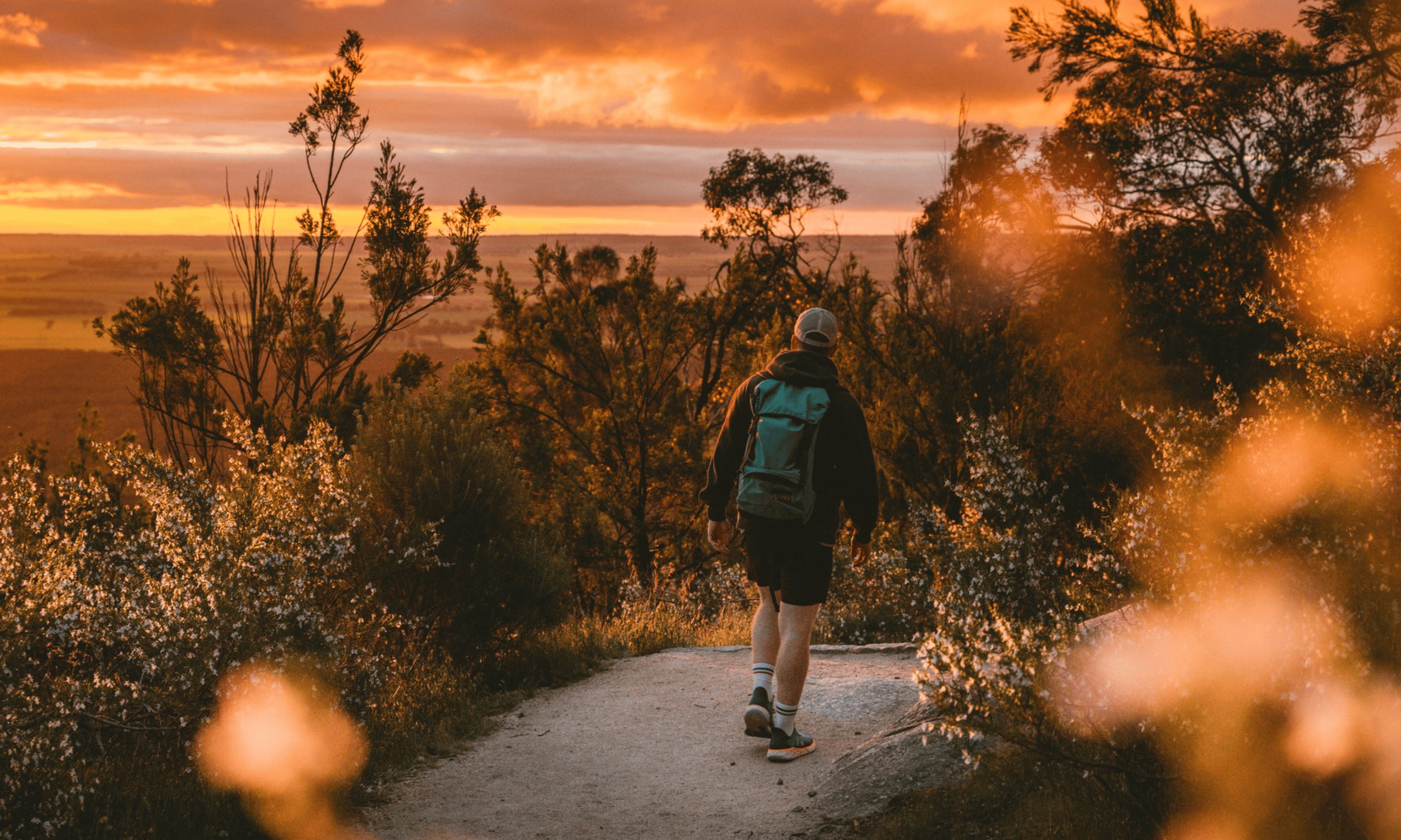 Guide to exploring the You Yangs | Visit Geelong and The Bellarine