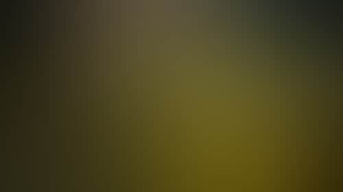 Sir Reginald Ansett Transport Museum | Visit Grampians