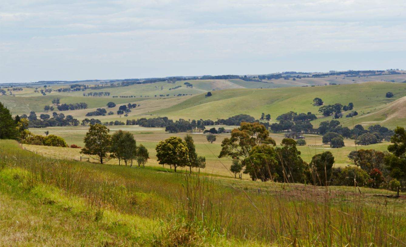 Coleraine Victoria, Visit Coleraine, Things to do… | Visit Grampians