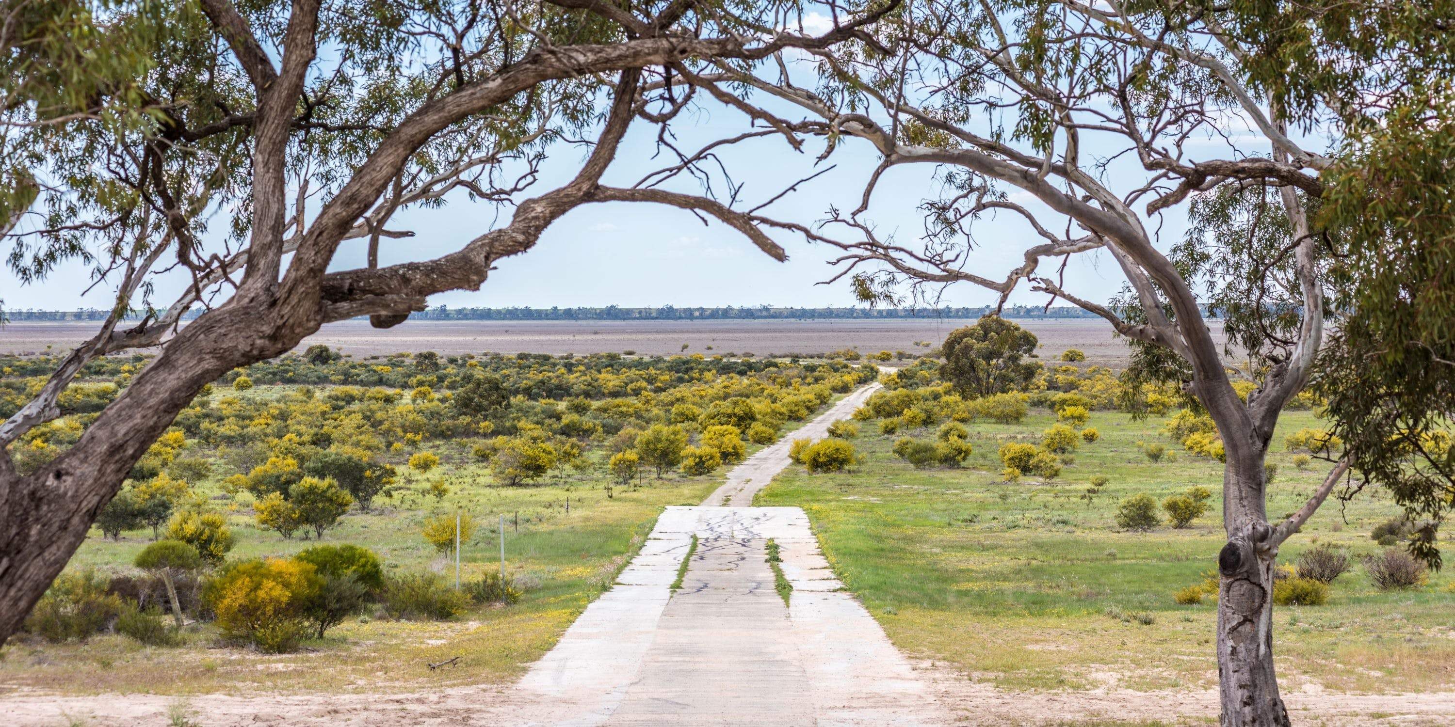 Lake Albacutya | Visit Grampians