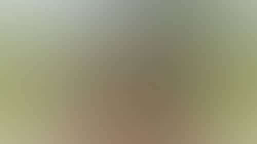 Pomonal Estate Winery | Visit Grampians