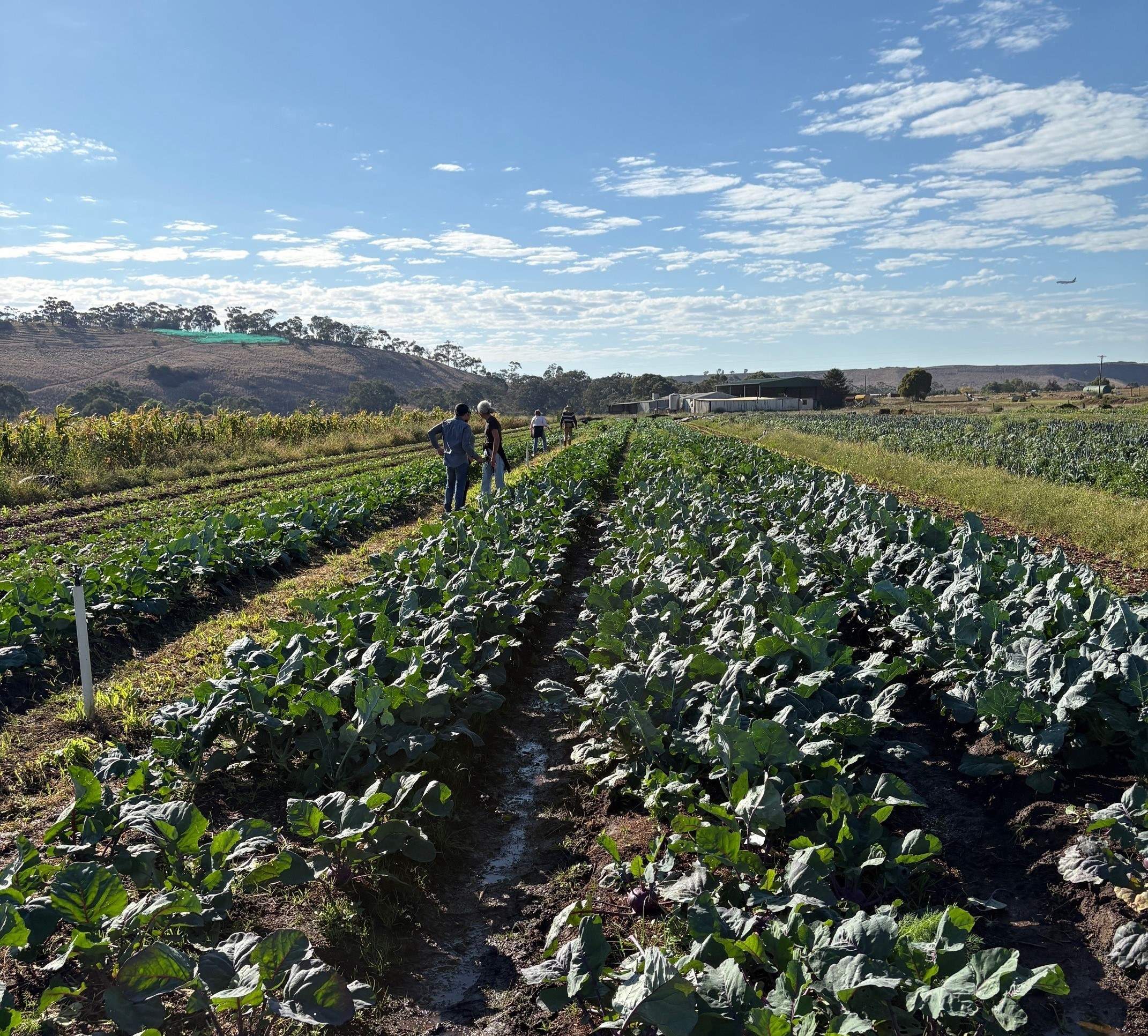 Day's Walk Farm tour | Love West Side