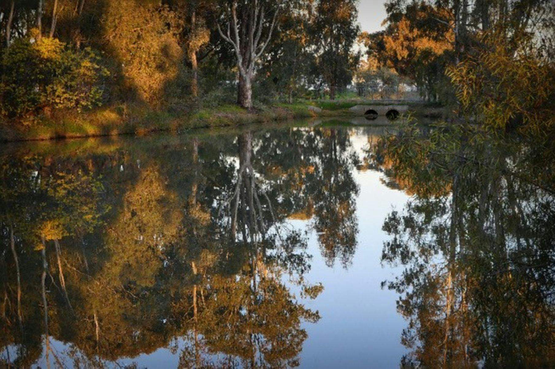 Visit the Murray | Blake Botanic Reserve