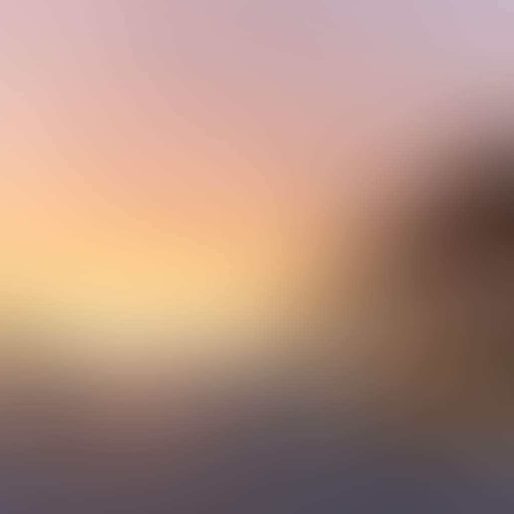 Discover Hidden Gems in Historic Gulgong | Visit Mudgee Region