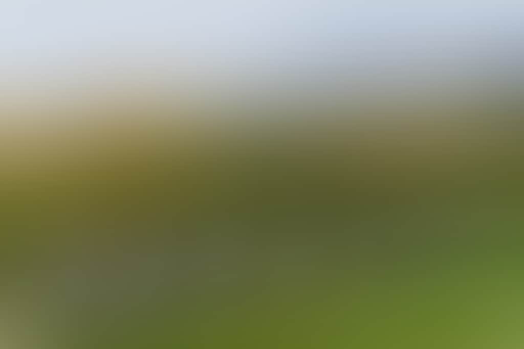 Mudgee Wine Explorer Tours | Visit Mudgee Region