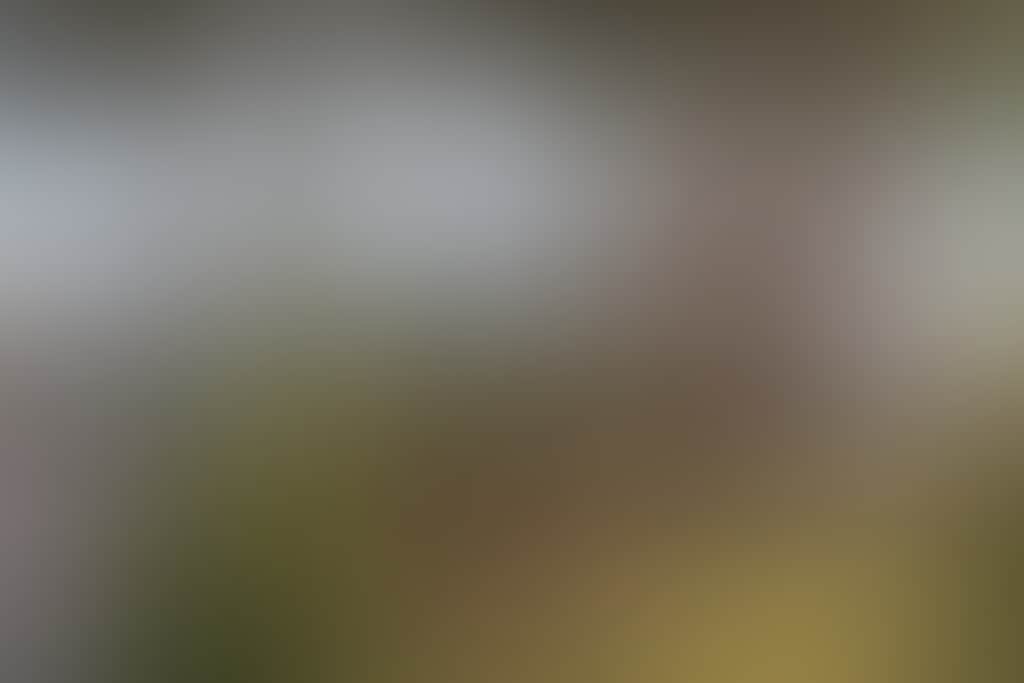 Kandos Museum | Visit Mudgee Region