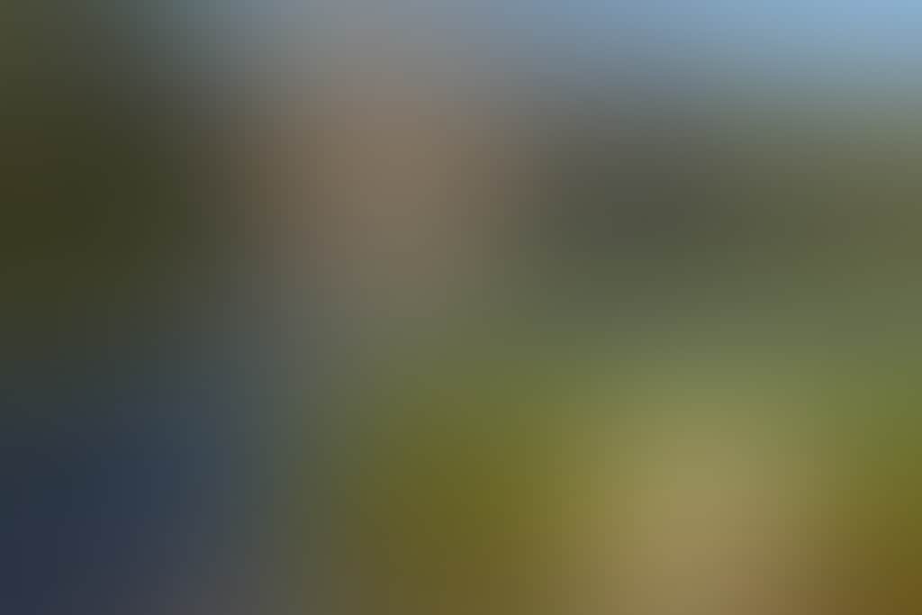 Ganguddy-Dunns Swamp campground | Visit Mudgee Region