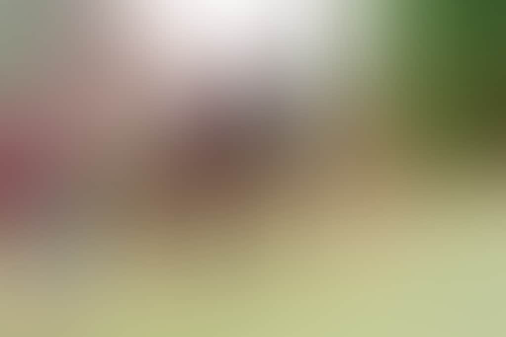 Club Mudgee | Visit Mudgee Region