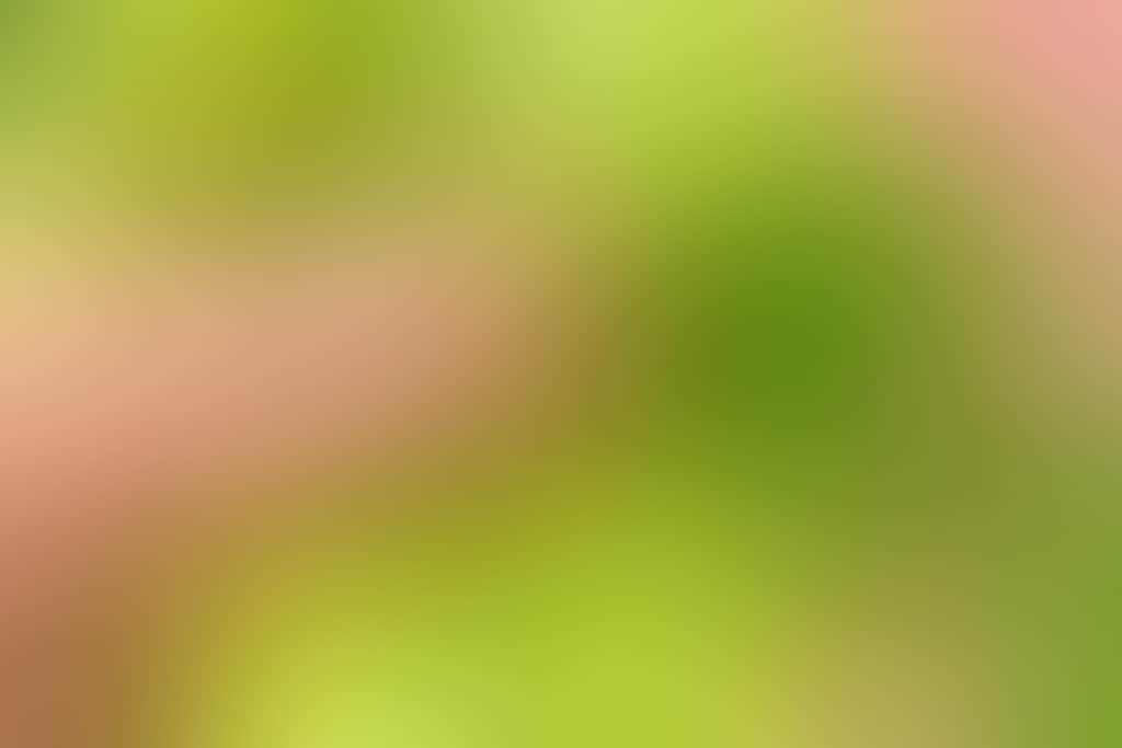 Small Batch Brewery and Hop Farm | Visit Mudgee Region