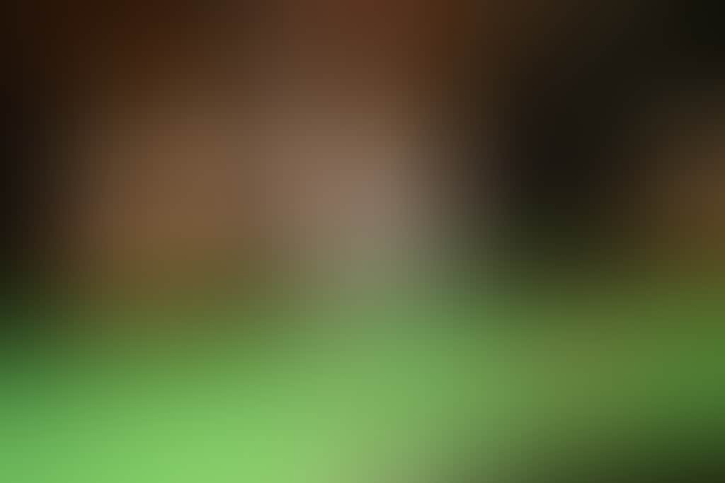 Club Mudgee | Visit Mudgee Region