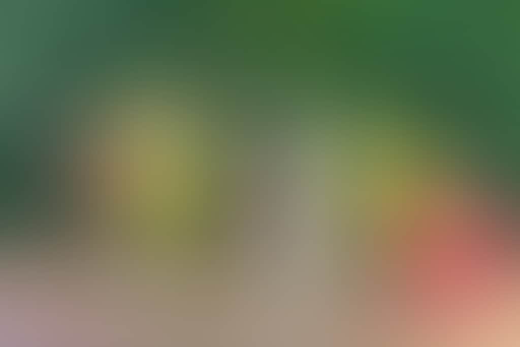 Club Mudgee | Visit Mudgee Region