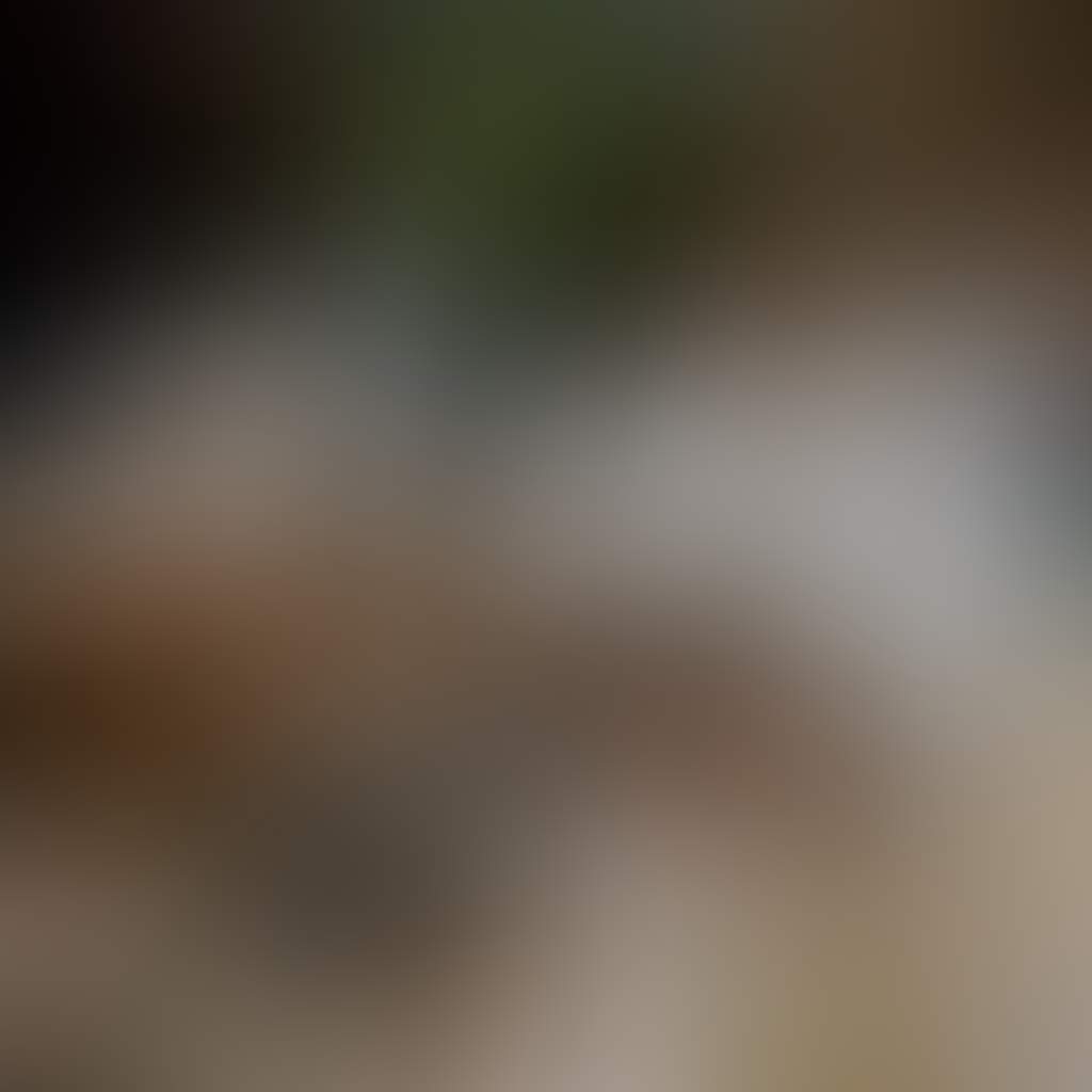 Mudgee Region Markets: Explore Local Produce &… | Visit Mudgee Region