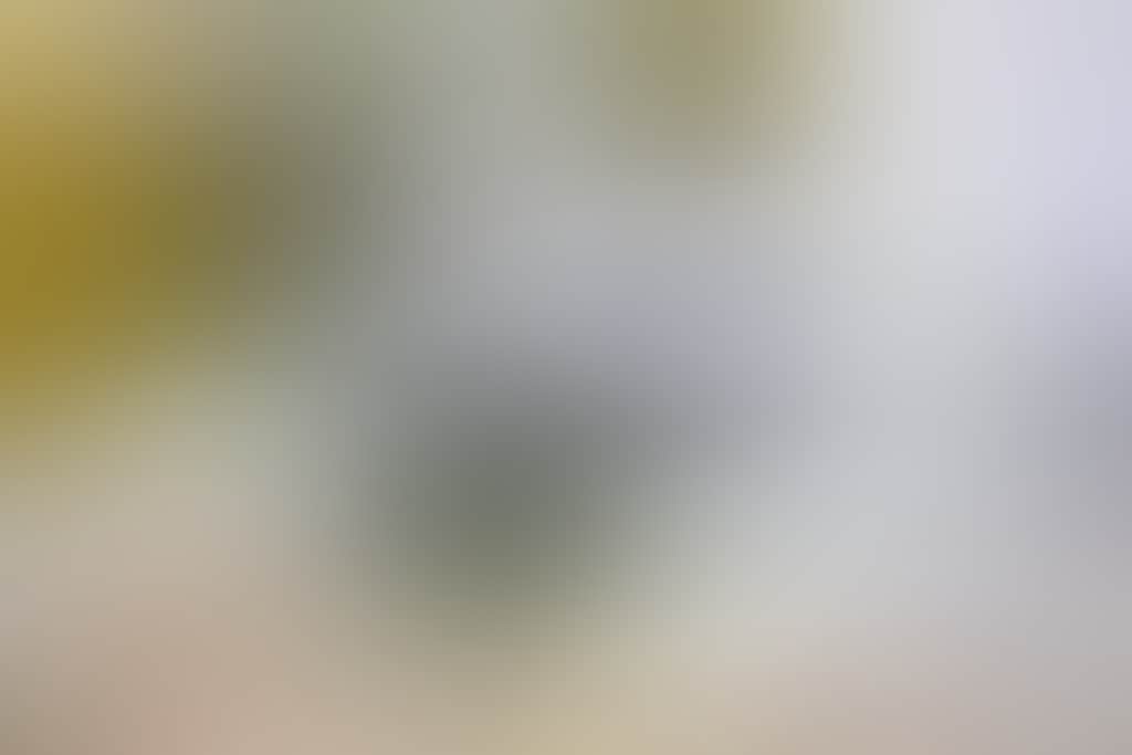 Skimstone Wines | Visit Mudgee Region