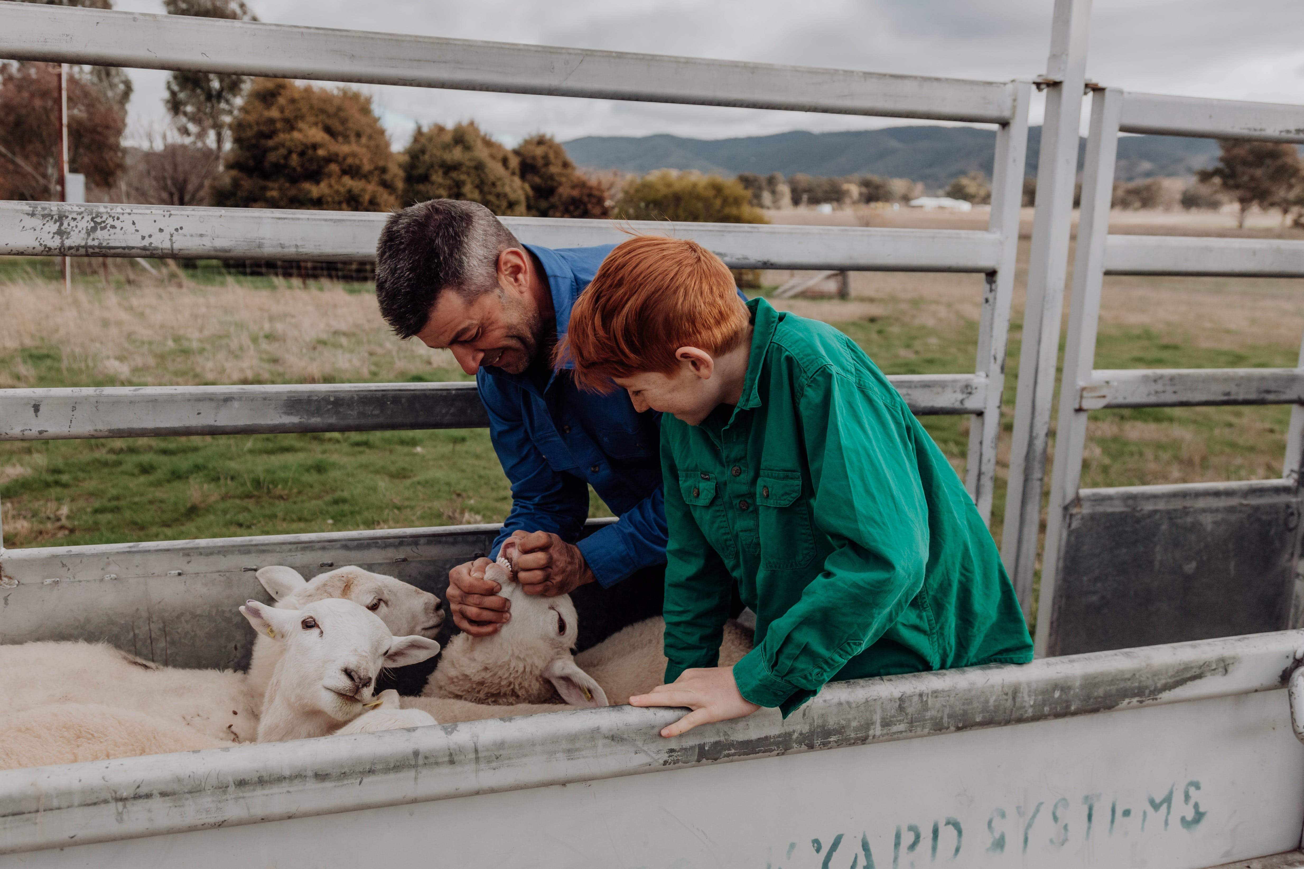 Wallinga Farm Tours - Mudgee | Visit Mudgee Region