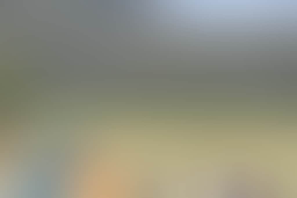 Skimstone Wines | Visit Mudgee Region