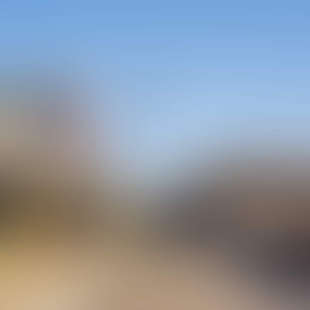 Discover Hidden Gems in Historic Gulgong | Visit Mudgee Region