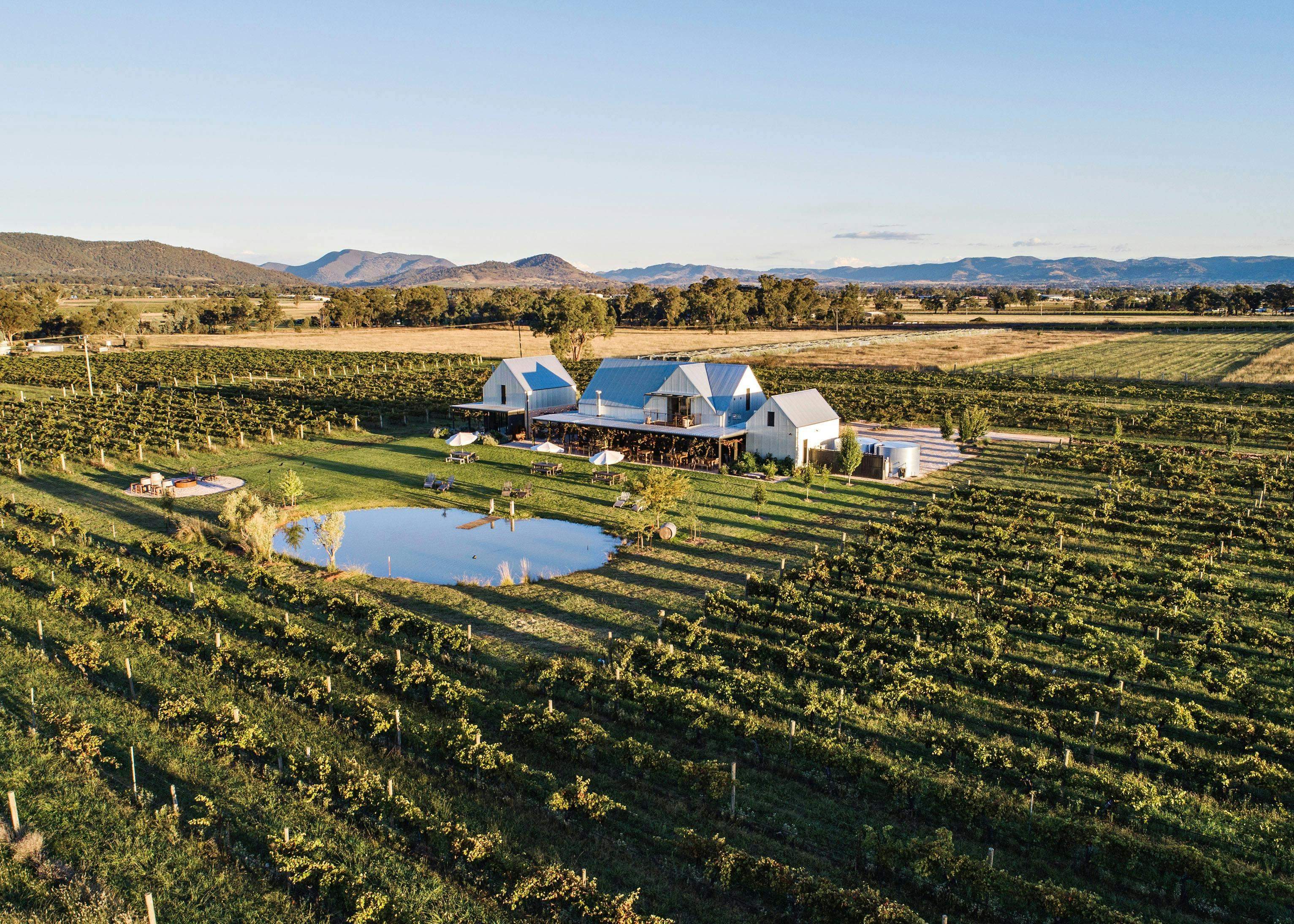 Yeates Wines | Visit Mudgee Region