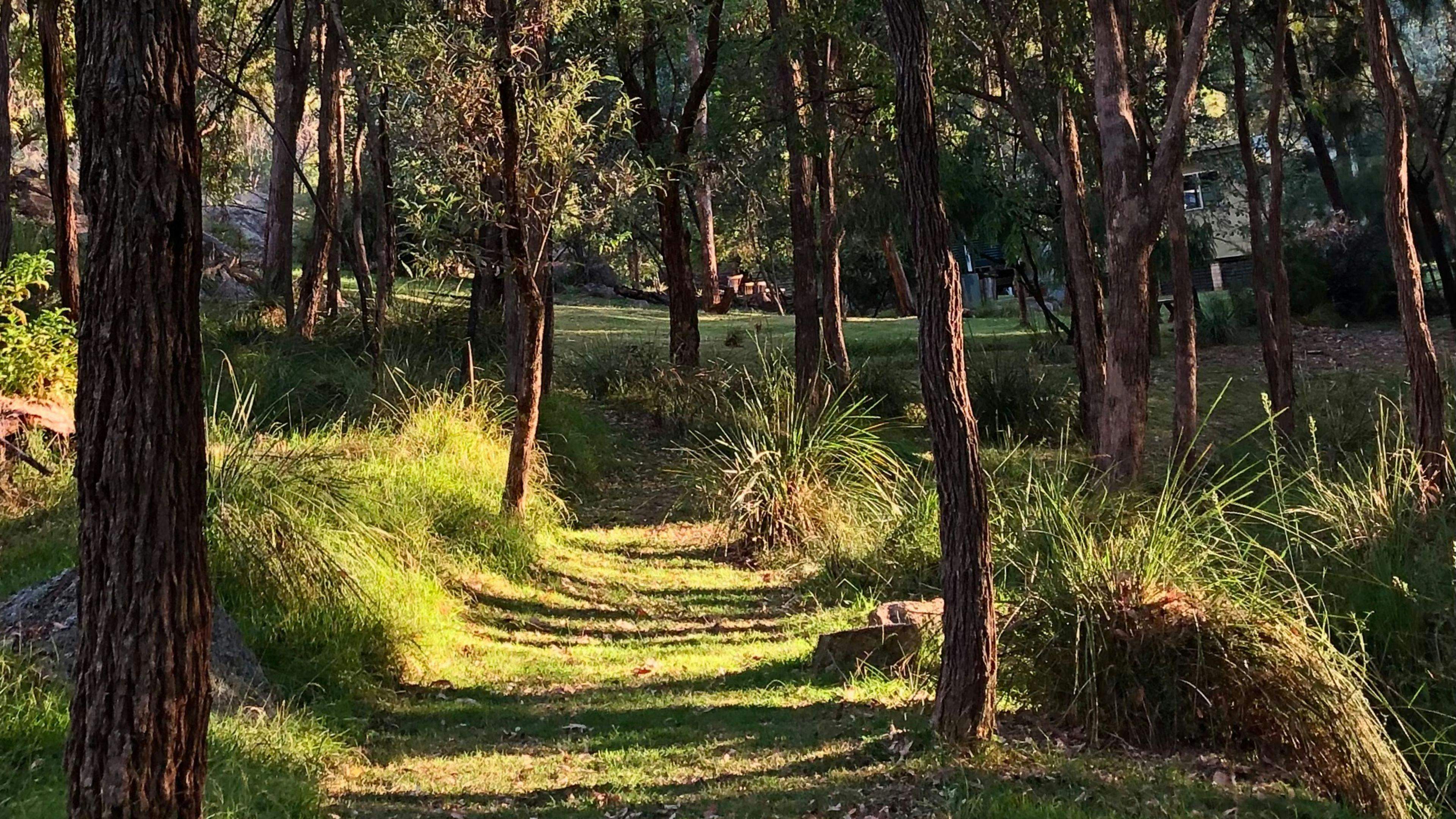 Follyfoot Meadow | Visit Mudgee Region