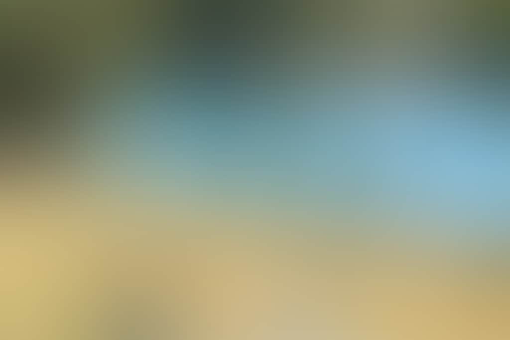 Skimstone Wines | Visit Mudgee Region