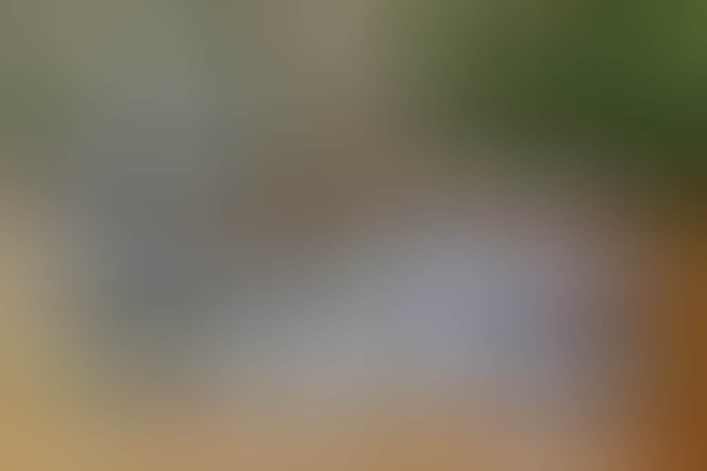 Nackers | Visit Mudgee Region