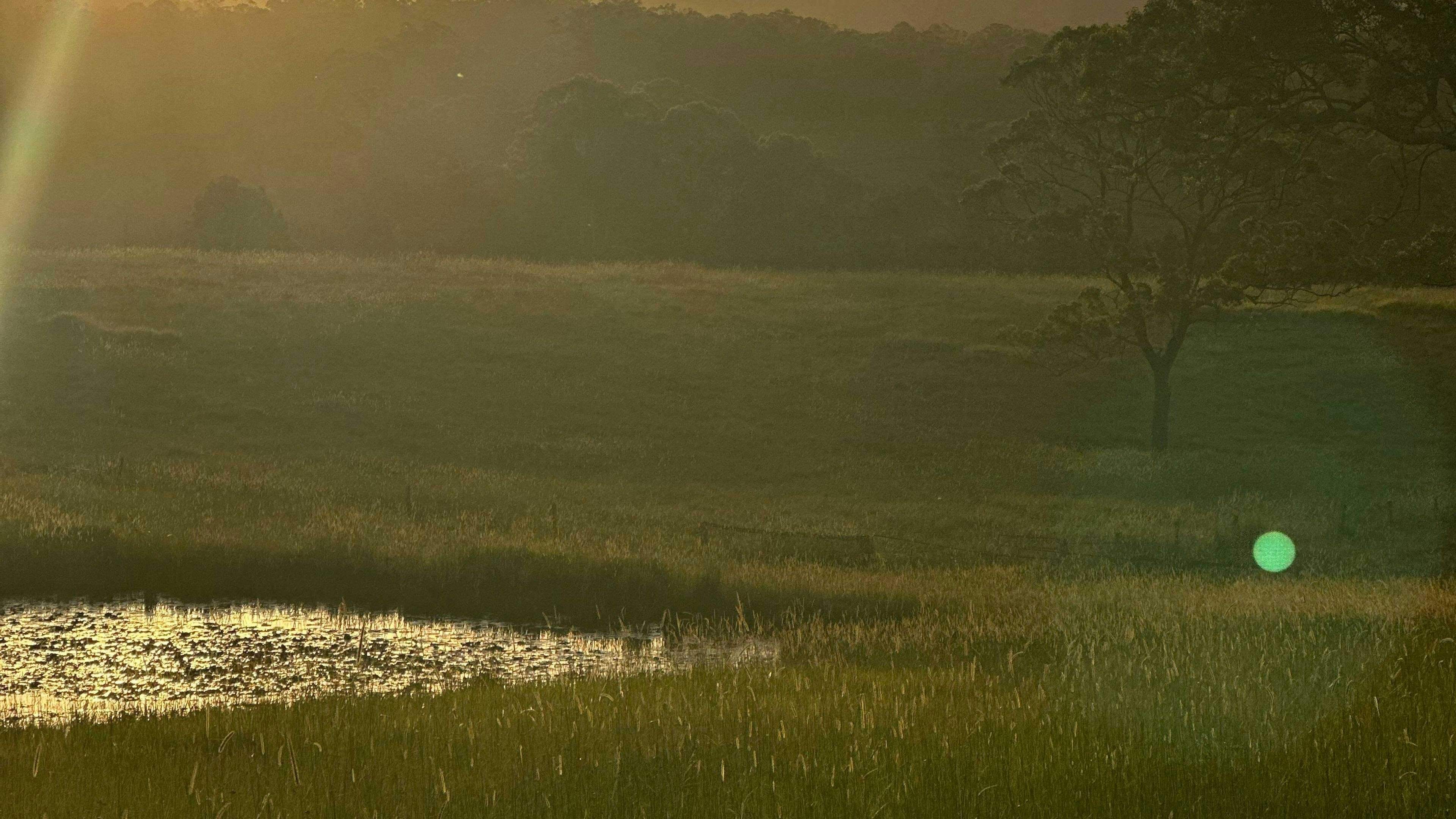 The Plains Ranch and Farm Stay | Port Macquarie