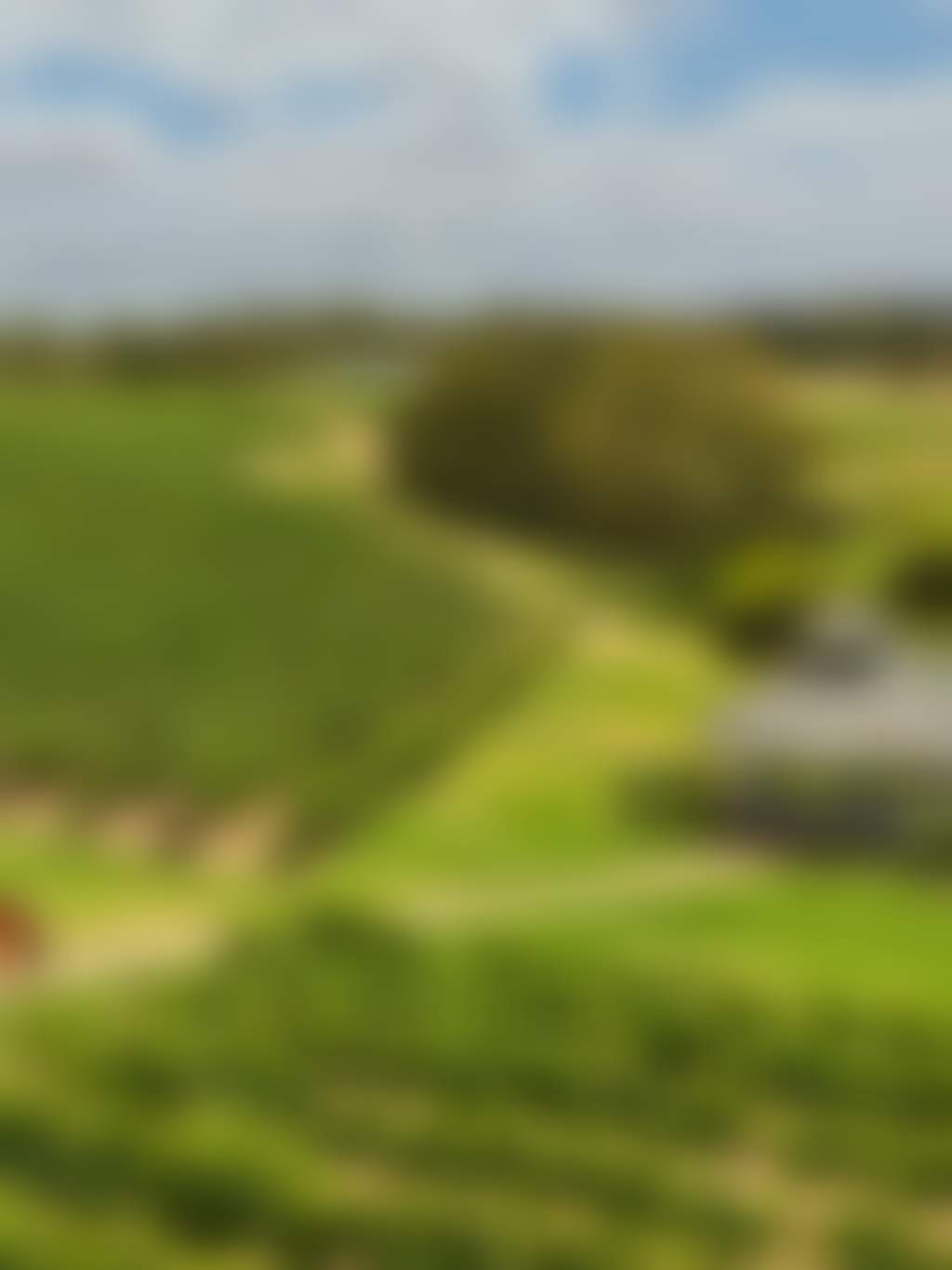 The Outdoors | Swan Valley