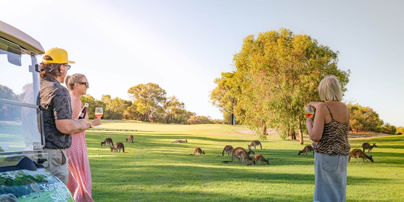 Kangaroo Safari at The Vines Resort | Swan Valley
