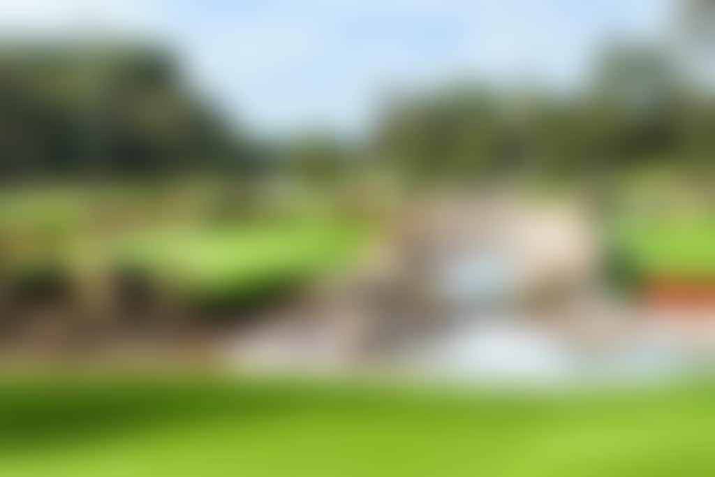 Vines Mini Golf | Swan Valley