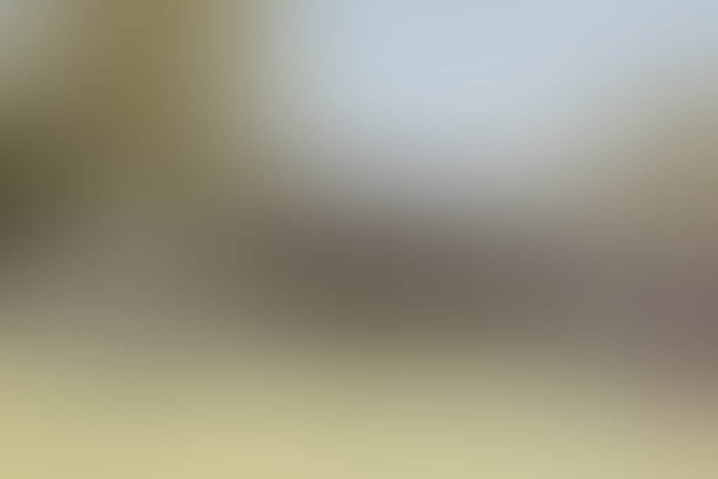 The Henley Brook | Swan Valley