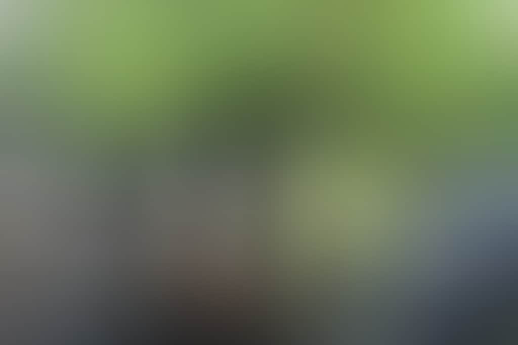 Upper Reach Winery Spa Cottage | Swan Valley