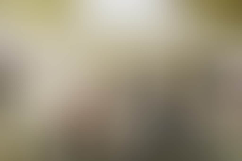 The Henley Brook | Swan Valley