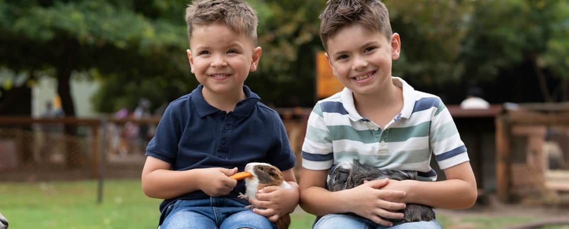 Swan Valley Cuddly Animal Farm & Cafe | Swan Valley