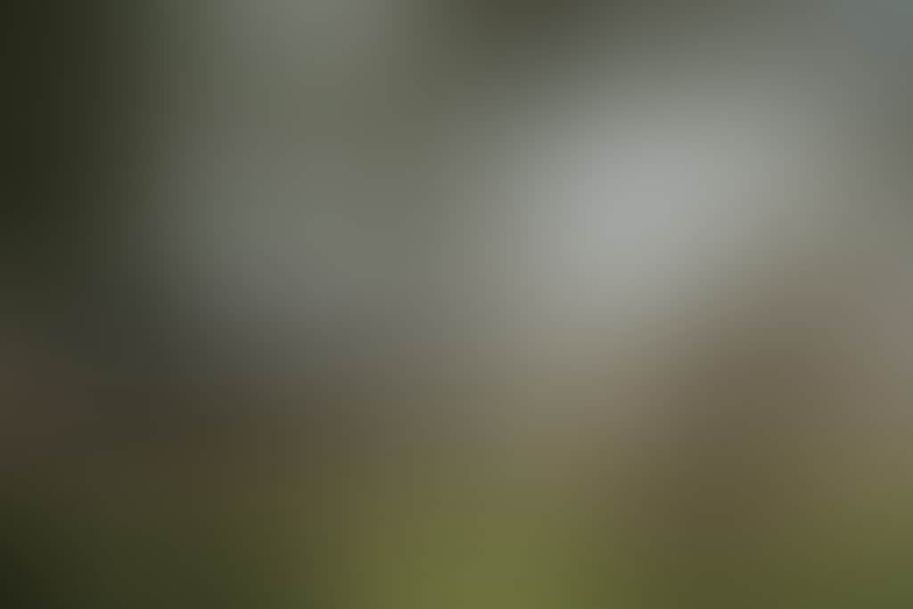 Bailey Brewing Co | Swan Valley