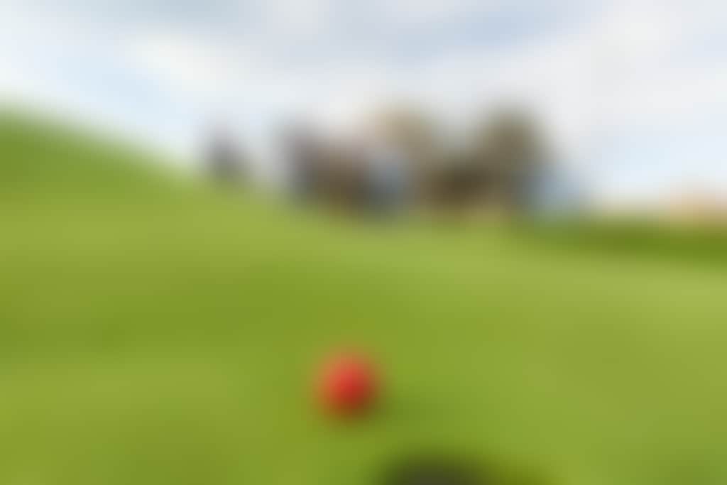 Vines Mini Golf | Swan Valley