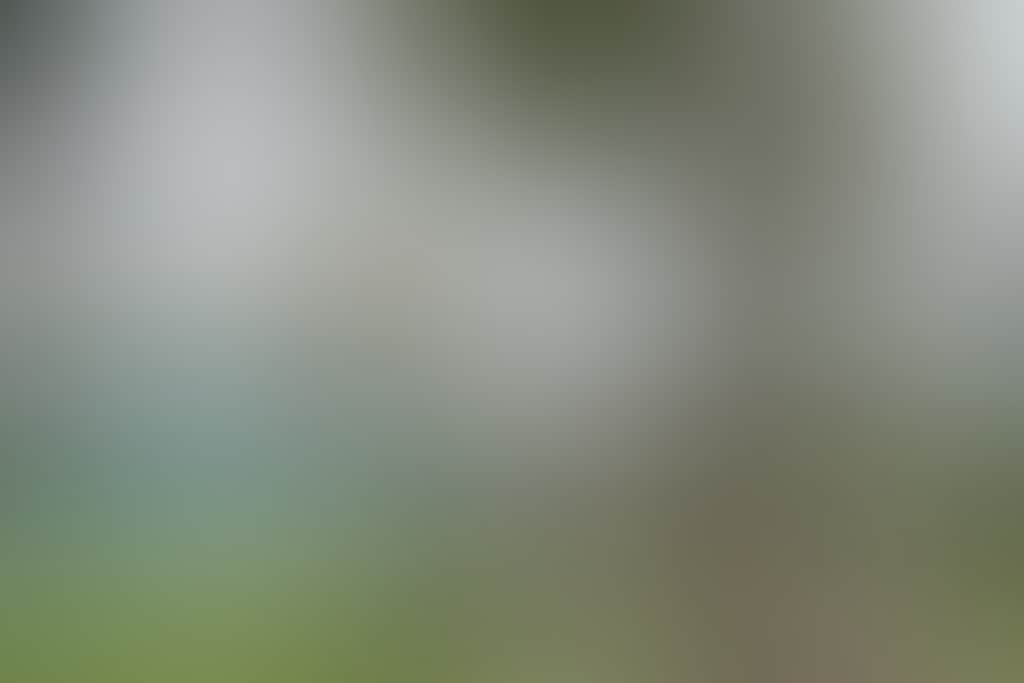 Bailey Brewing Co | Swan Valley